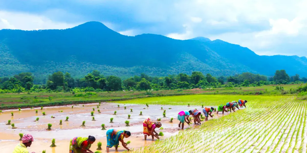Vers la démocratie et l'autosuffisance : la biodynamie en Asie